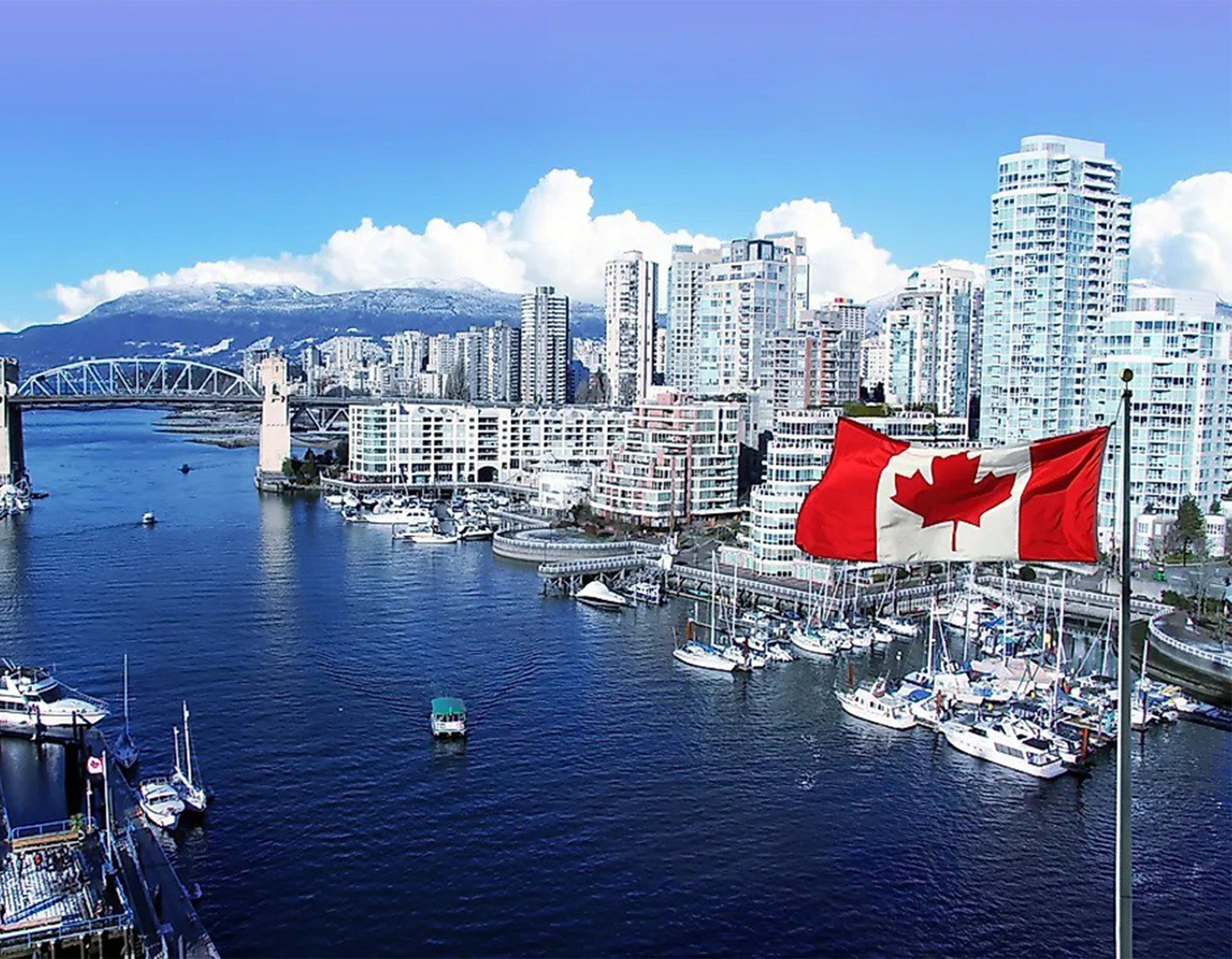Khai Báo ACI Canada | Phần Mềm & Dịch Vụ Filing